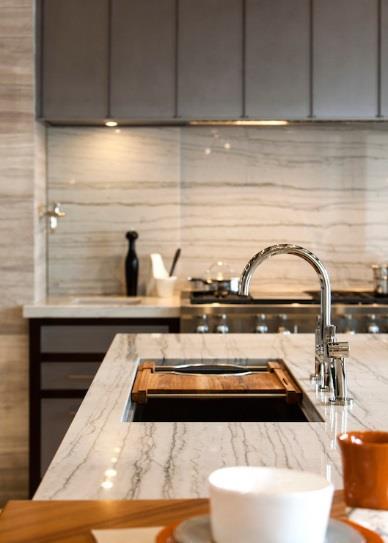 NATURAL QUARTZITE COUNTERTOPS